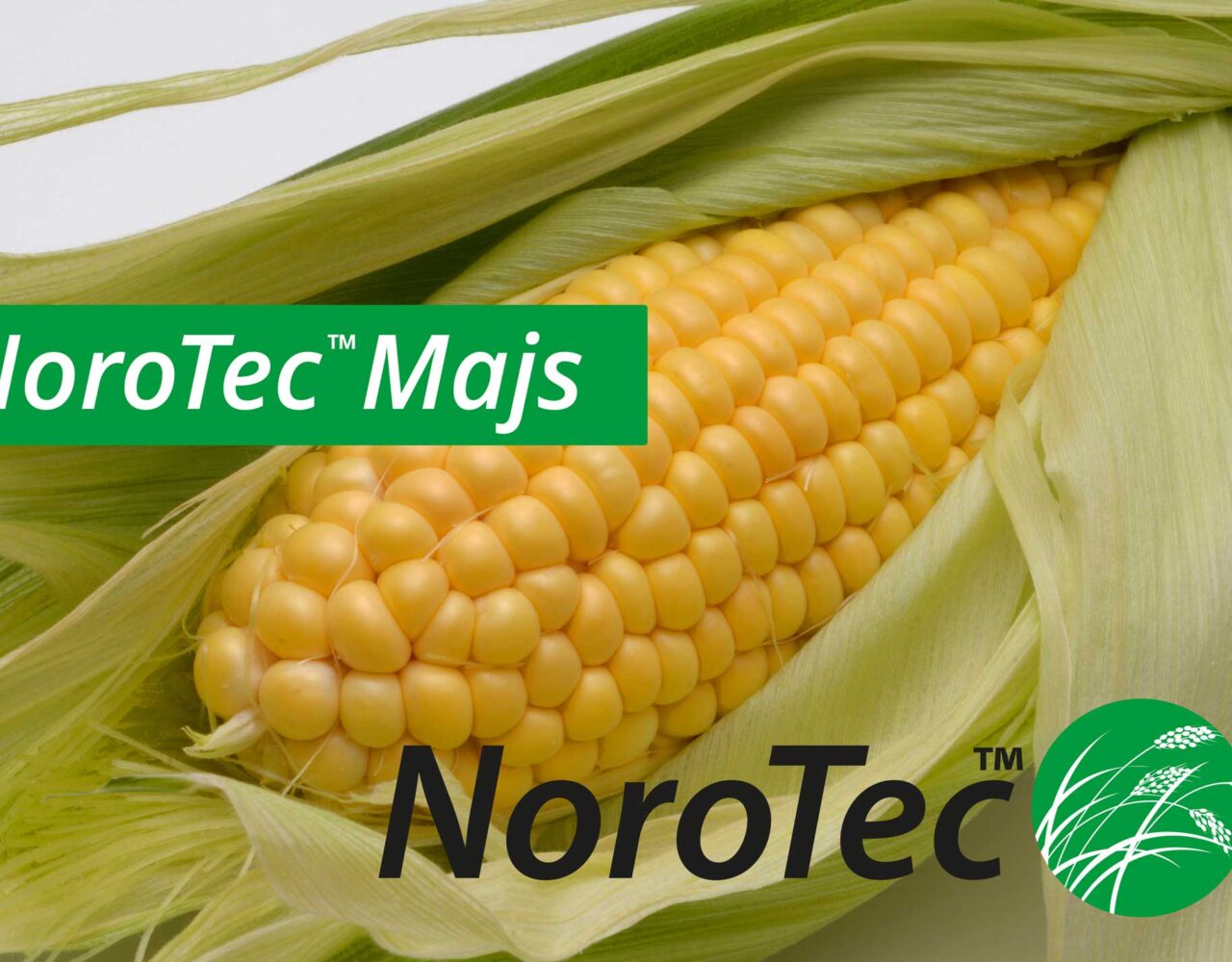 NoroTec AB – Svensk mikronäring