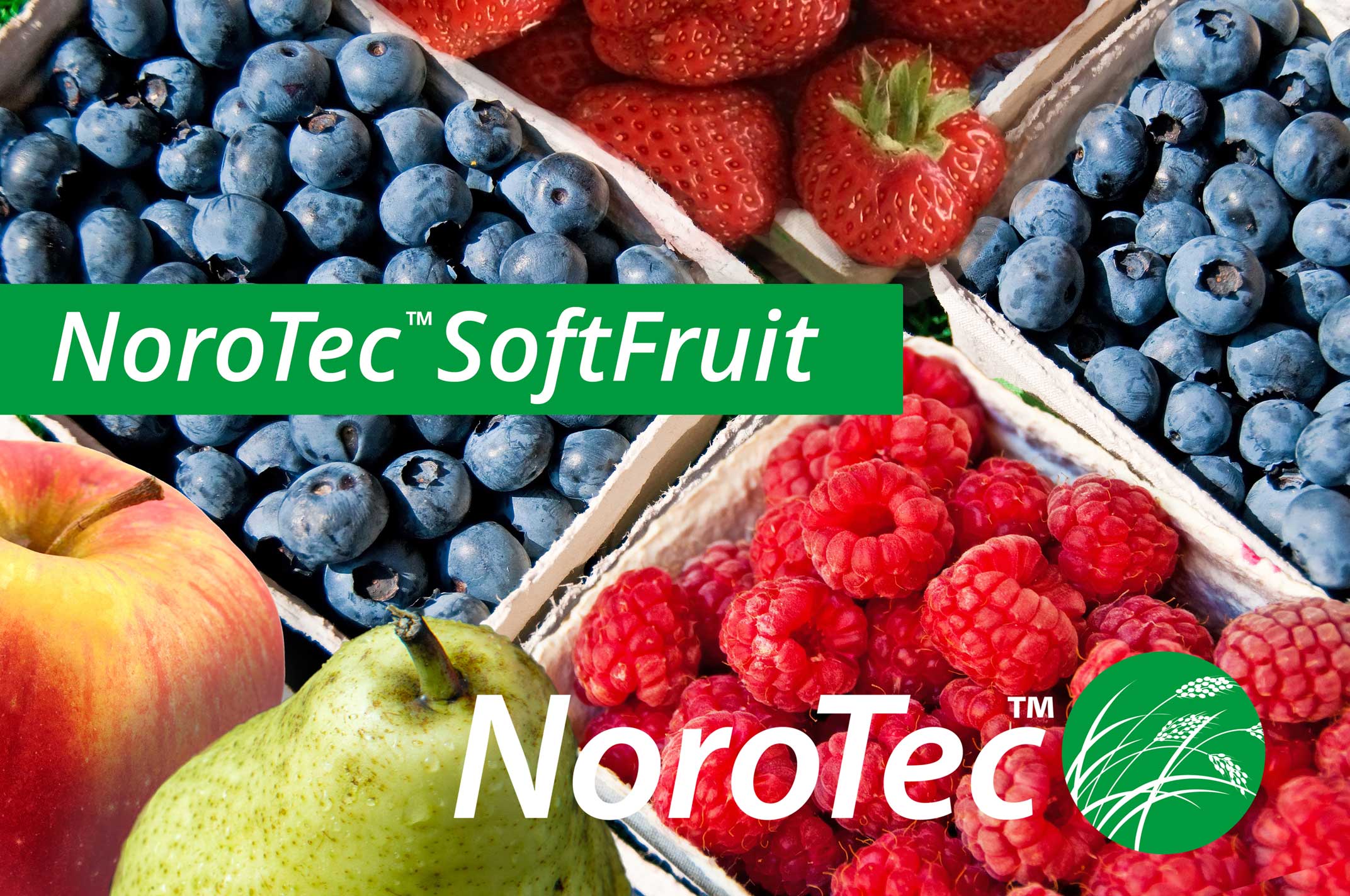 Ny produkt: NoroTec™ SoftFruit – NoroTec AB